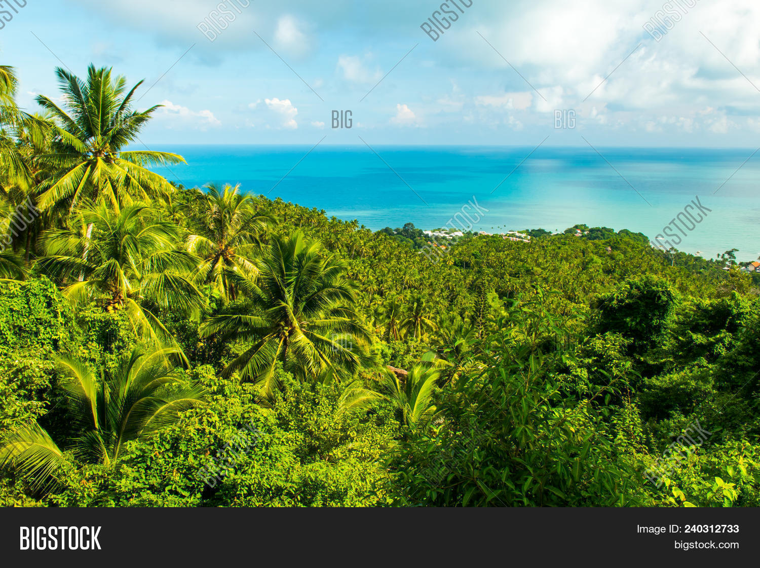 Exotic Tropical Image & Photo (Free Trial) | Bigstock
