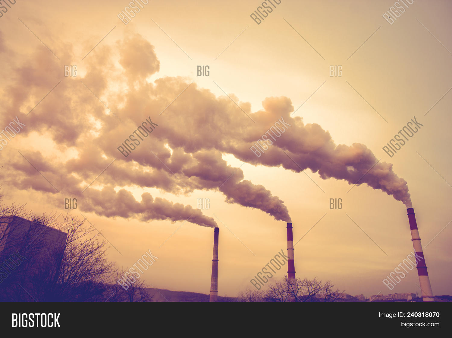 Many Large Pipes Which Image & Photo (Free Trial) | Bigstock