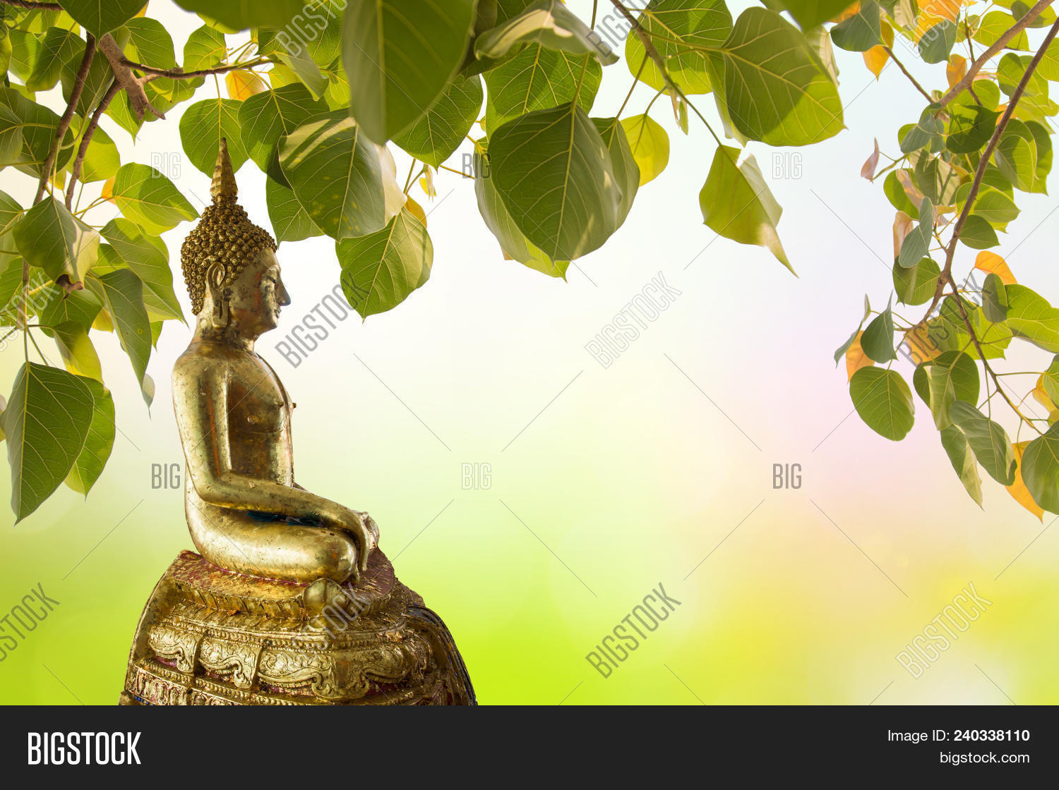 Buddha Under Bodhi Image & Photo (Free Trial) | Bigstock