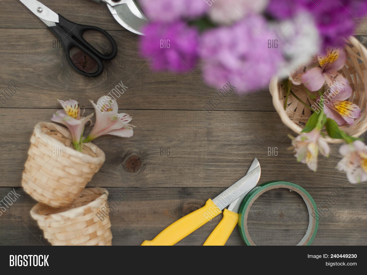 Floristic Tools Image & Photo (Free Trial) | Bigstock