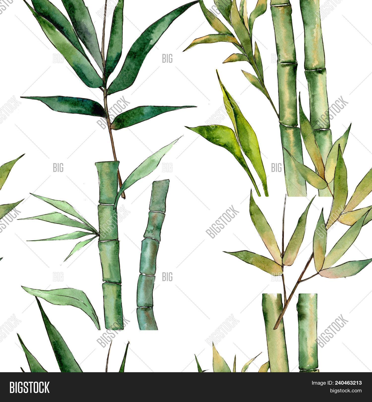 Bamboo Tree Pattern Image & Photo (Free Trial) | Bigstock