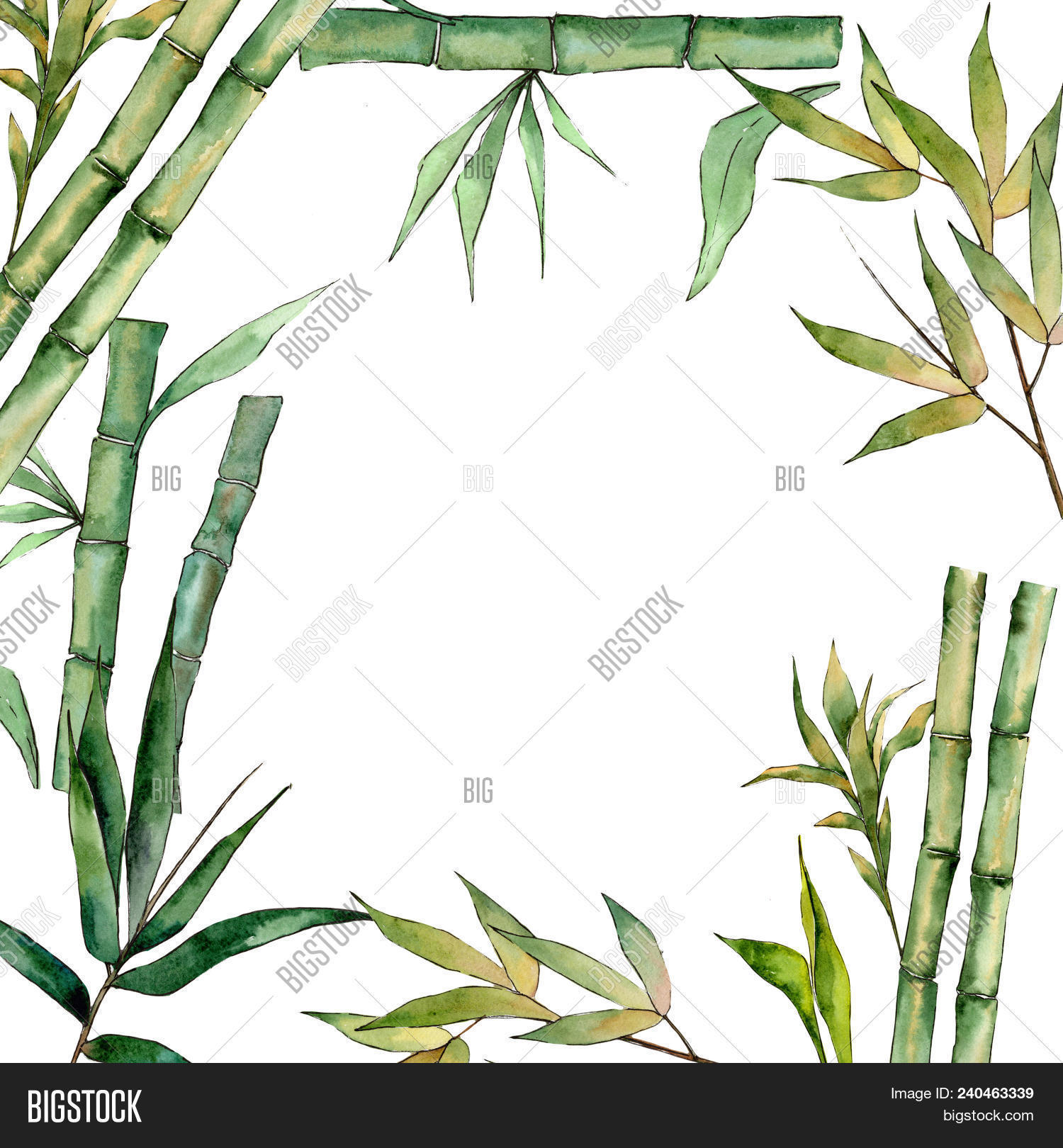 Bamboo Tree Frame Image & Photo (Free Trial) | Bigstock