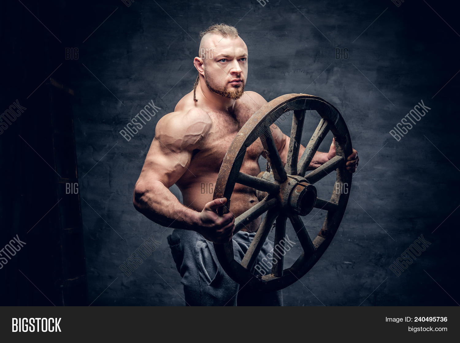 Studio Portrait Hunk Image & Photo (Free Trial) | Bigstock