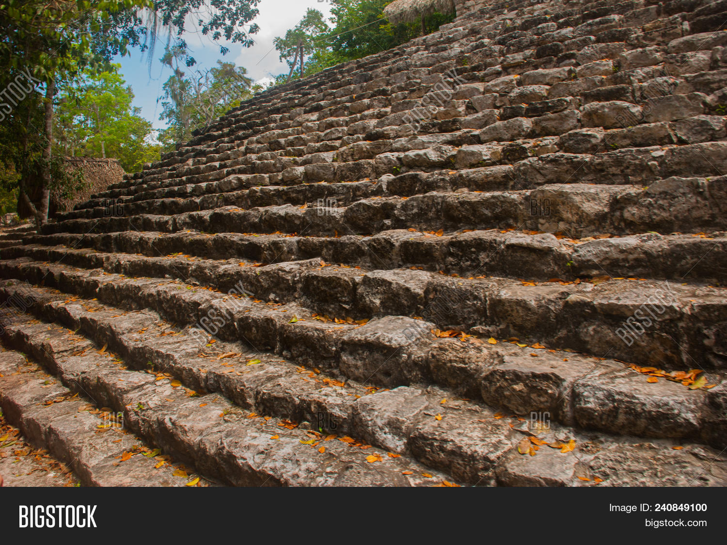 Coba, Mexico, Yucatan Image & Photo (Free Trial) | Bigstock