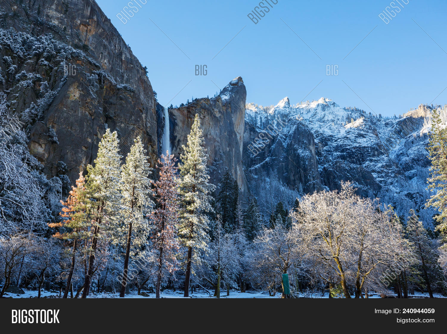 Beautiful Early Spring Image & Photo (Free Trial) | Bigstock