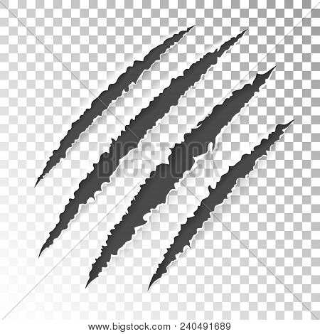 Realistic Scratch Vector & Photo (Free Trial) | Bigstock