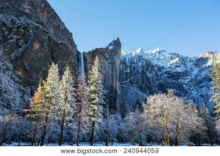 Beautiful Early Spring Image & Photo (Free Trial) | Bigstock