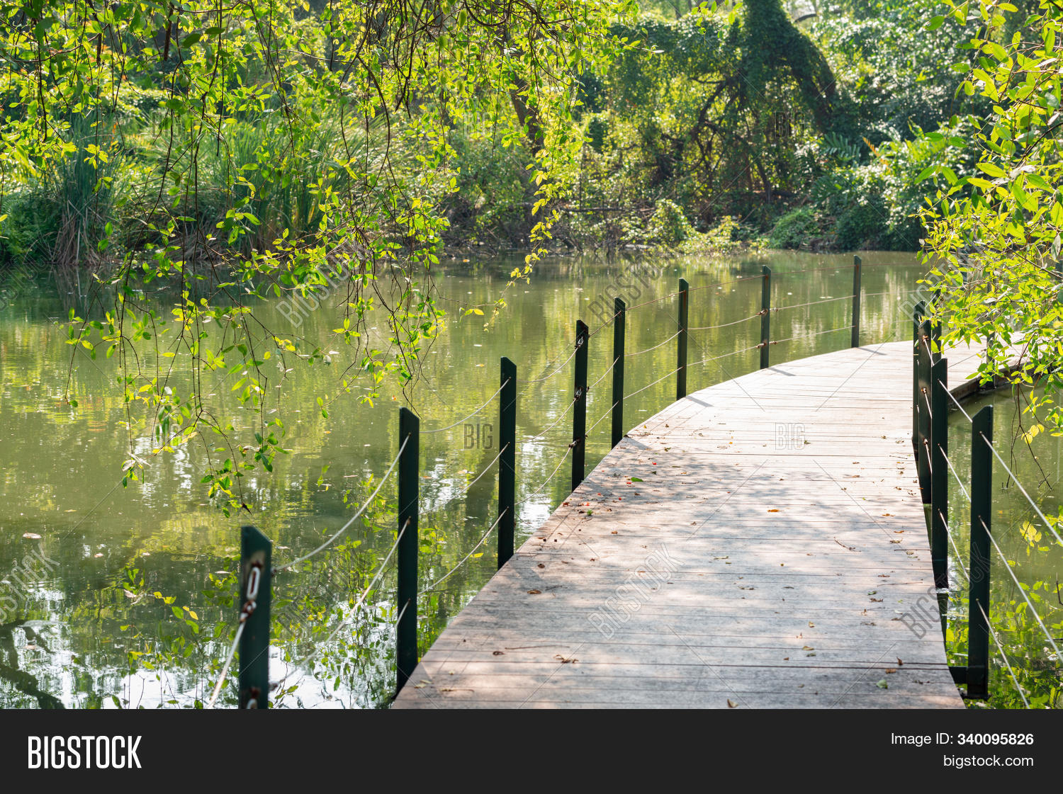 Swamp Walkway Hall Image & Photo (Free Trial) | Bigstock