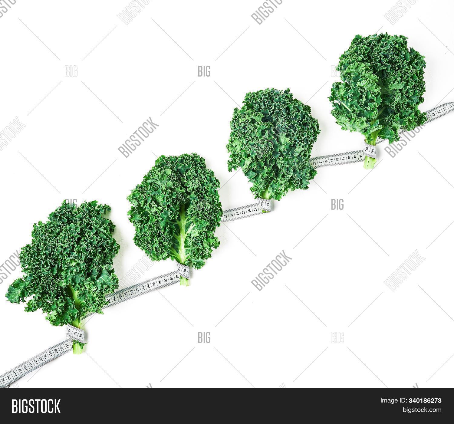 Freshly Harvested Kale Image & Photo (Free Trial) | Bigstock
