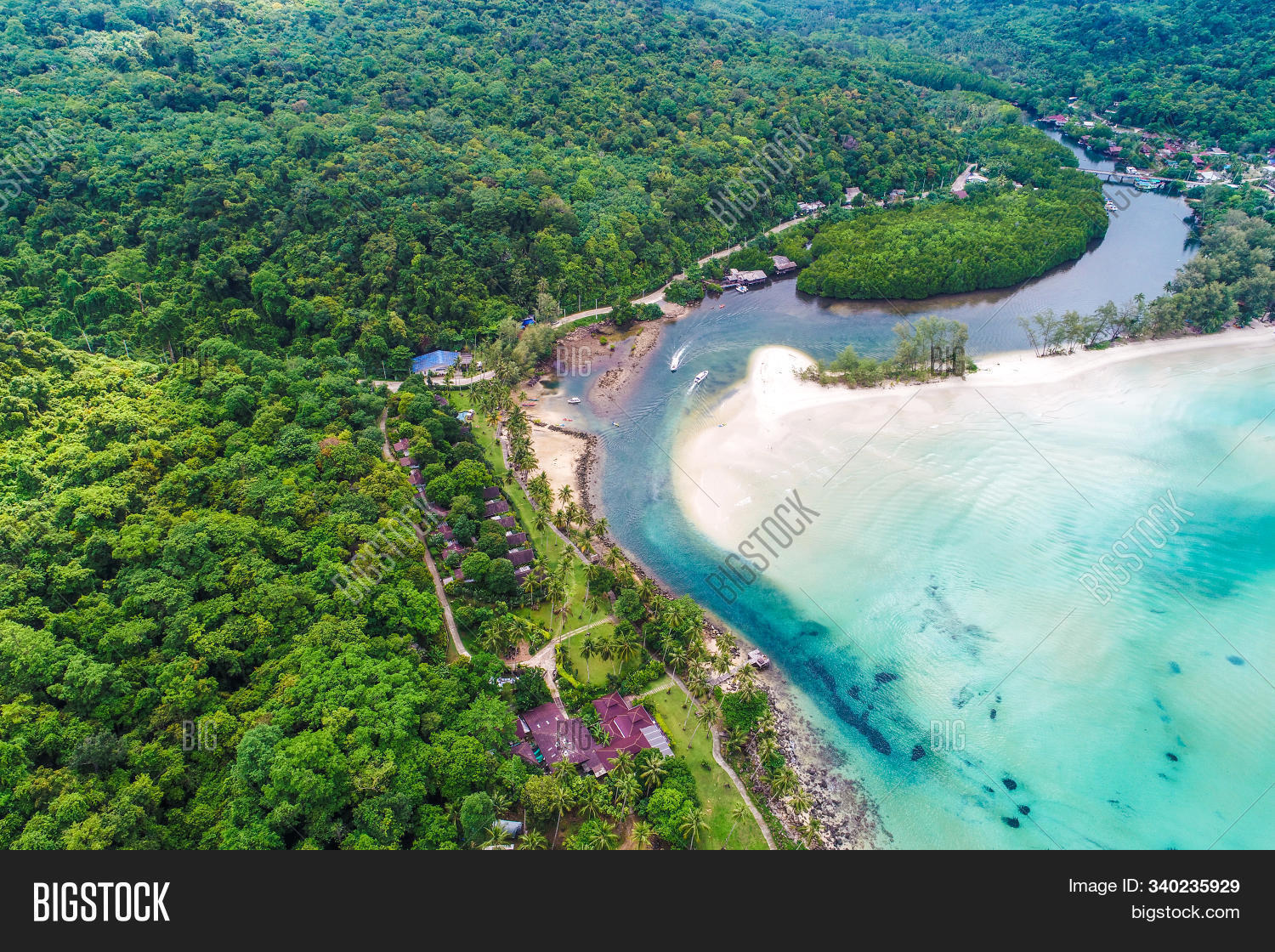 Tropical Rainforest Image & Photo (Free Trial) | Bigstock