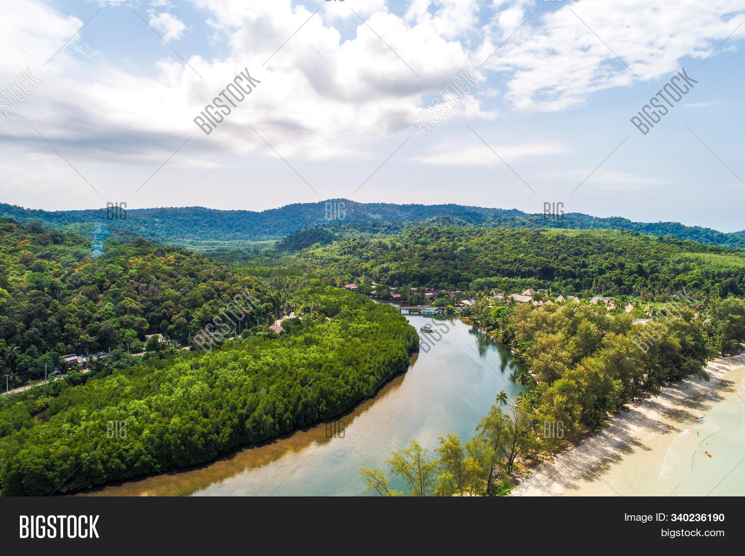 Aerial View Mangrove Image & Photo (Free Trial) | Bigstock