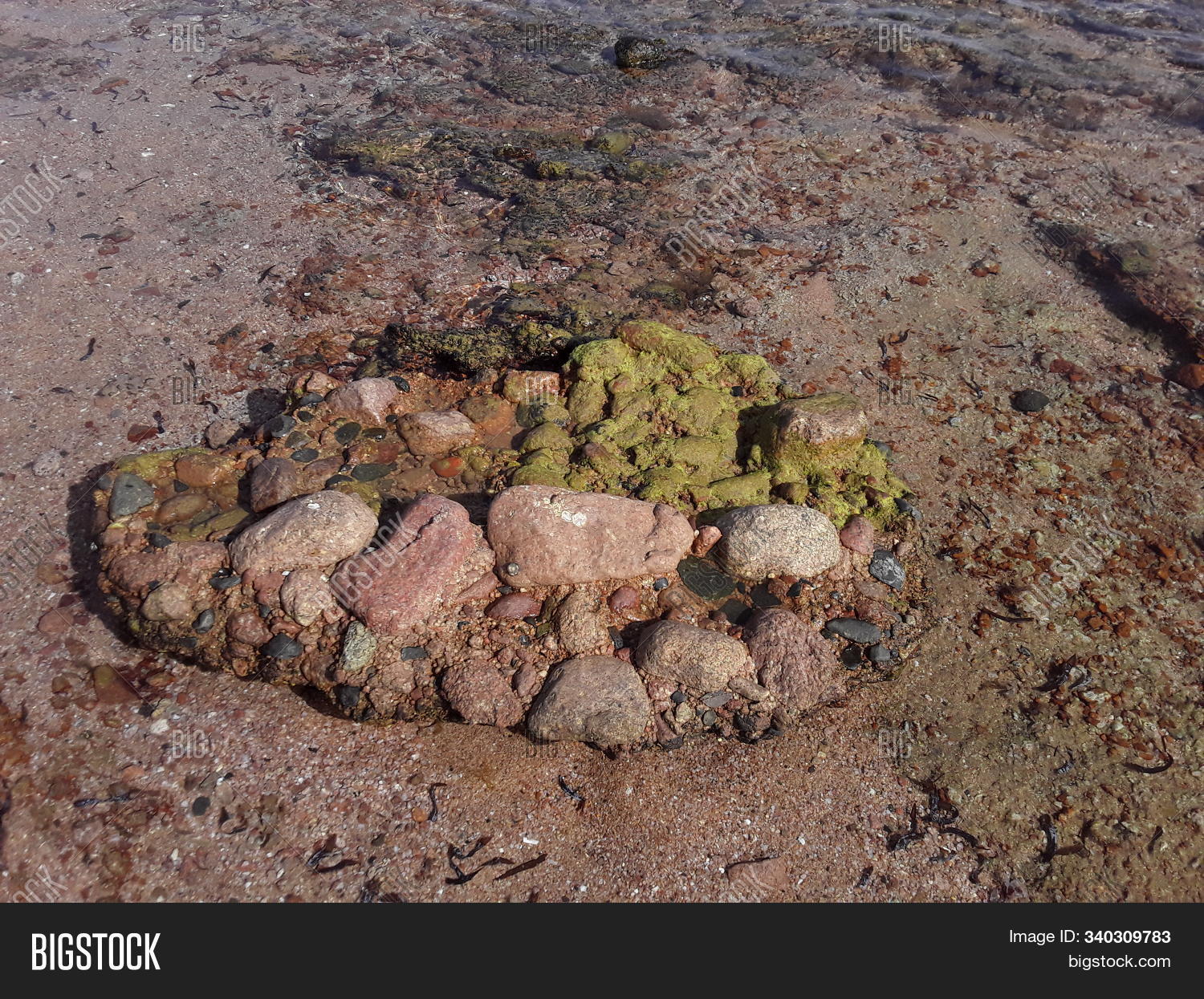 Stone Texture Red Sea Image & Photo (Free Trial) | Bigstock