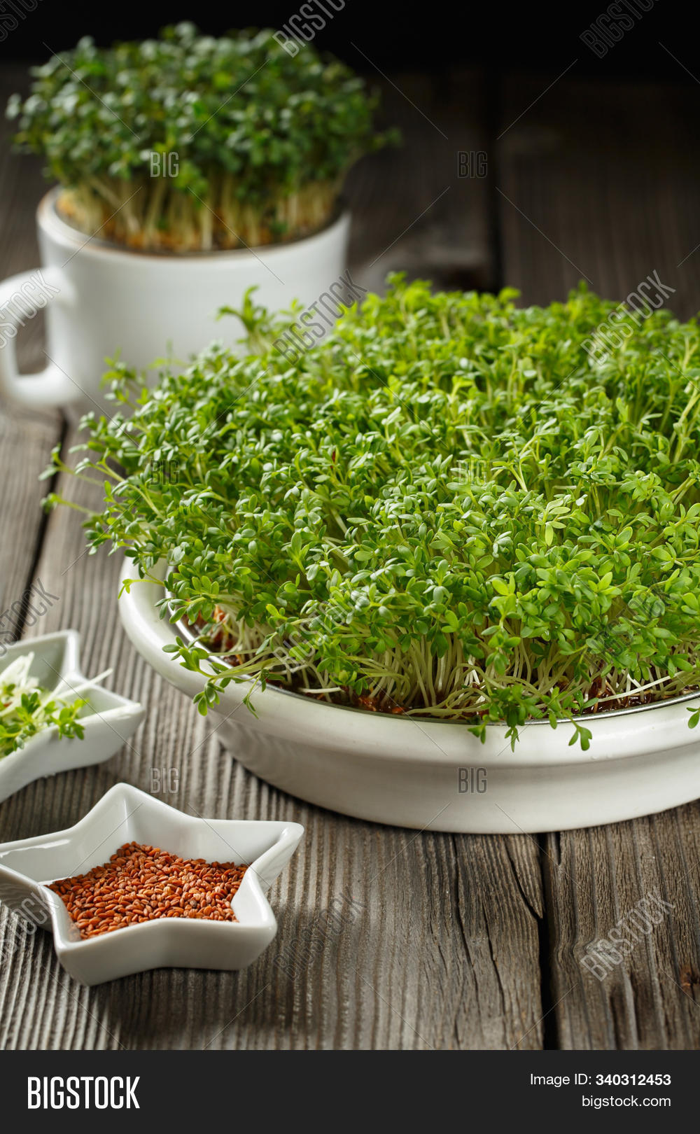 Close- Cress Image & Photo (Free Trial) | Bigstock