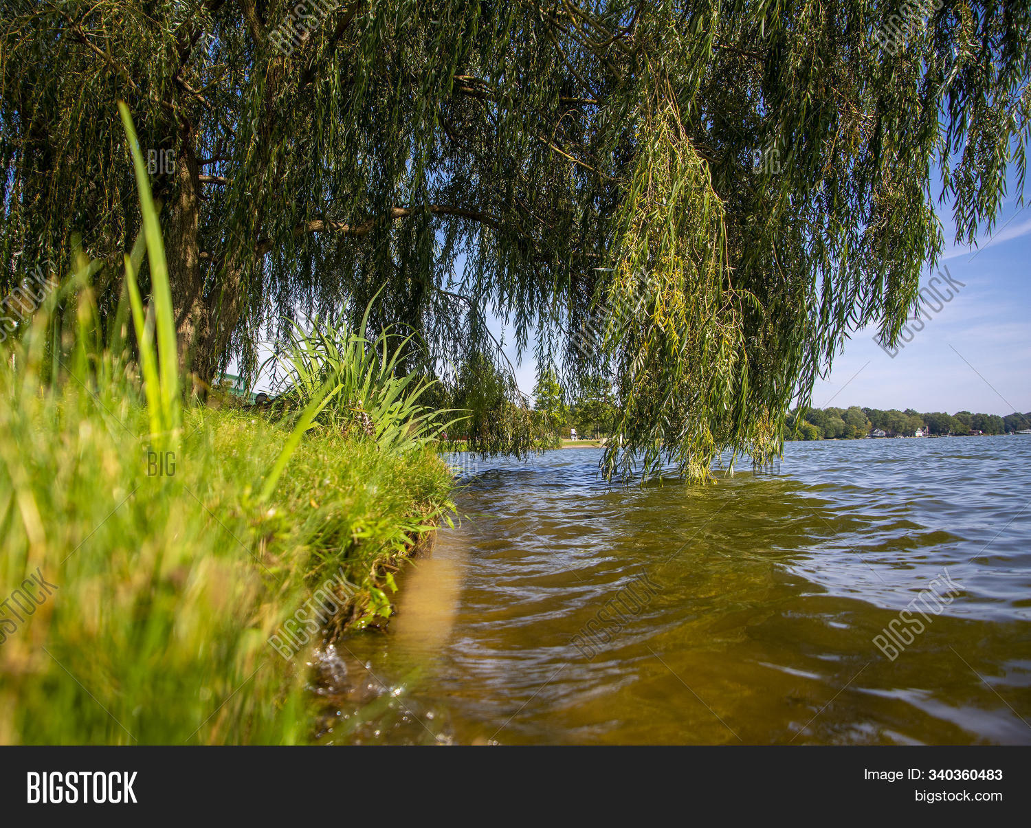 Surface Level View Image & Photo (Free Trial) | Bigstock