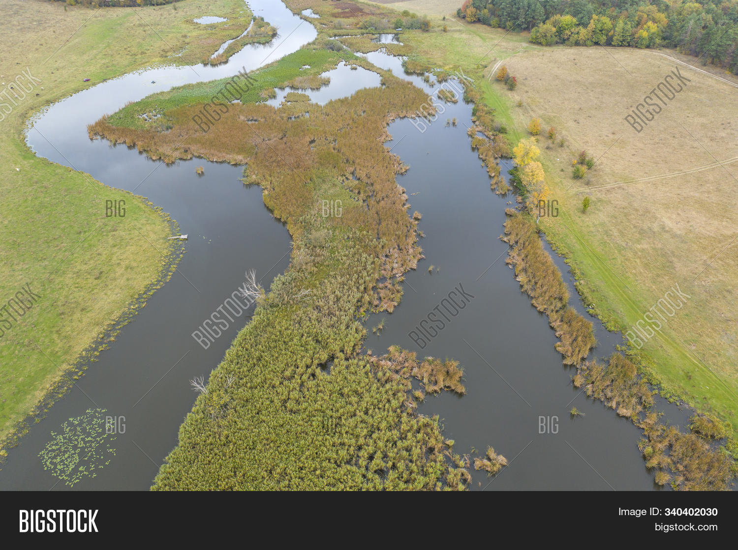 Two Rivers Bog Middle Image & Photo (Free Trial) | Bigstock