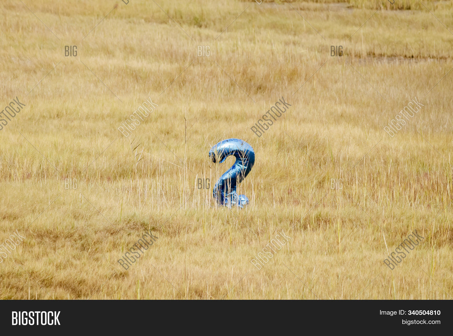 Escaped Balloon Slowly Image & Photo (Free Trial) | Bigstock