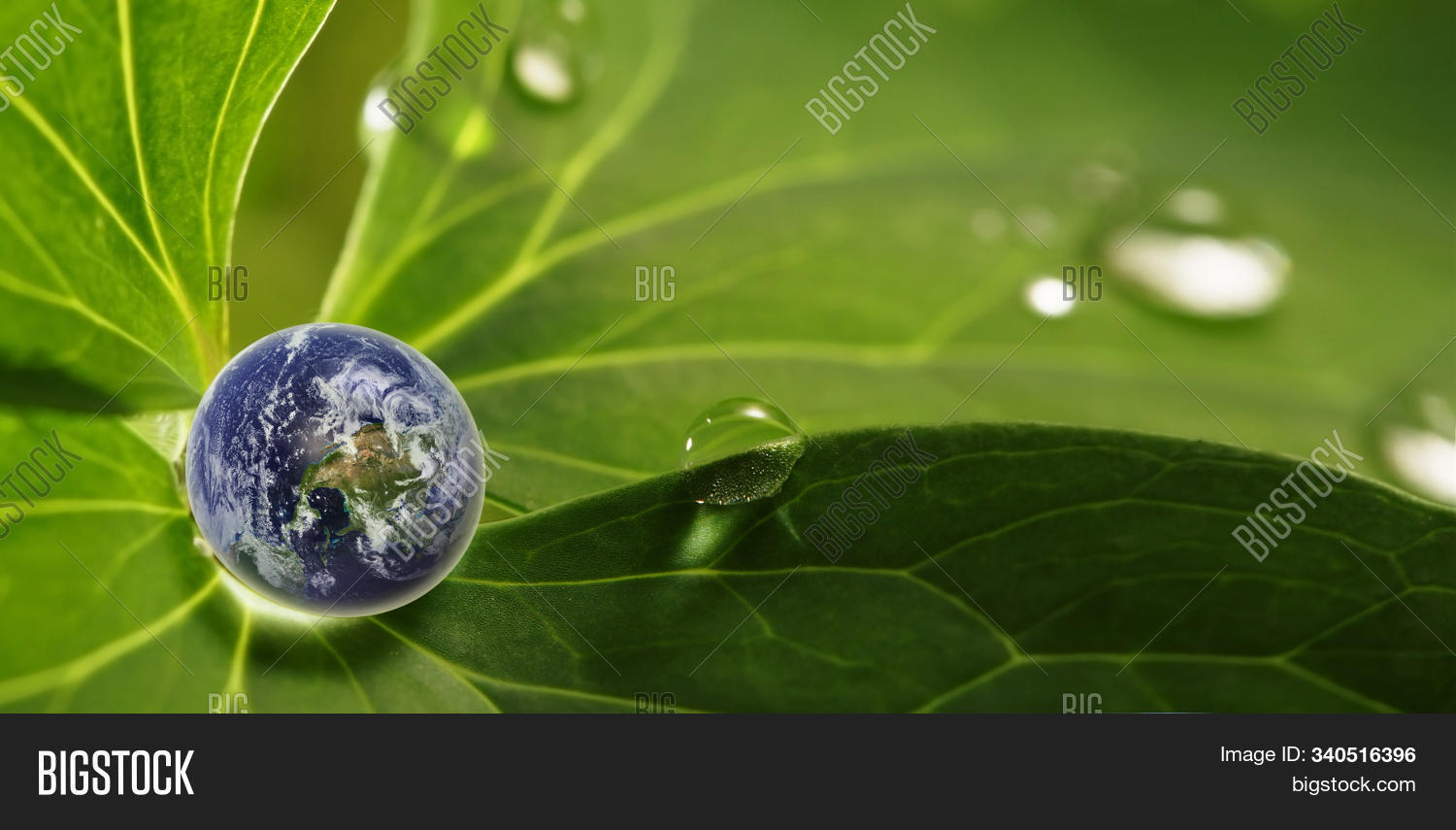 Water Drop Reflection Photography