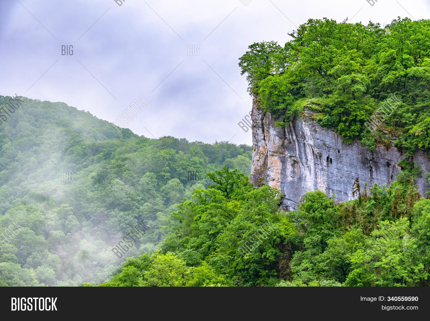 Forest Cliff Background