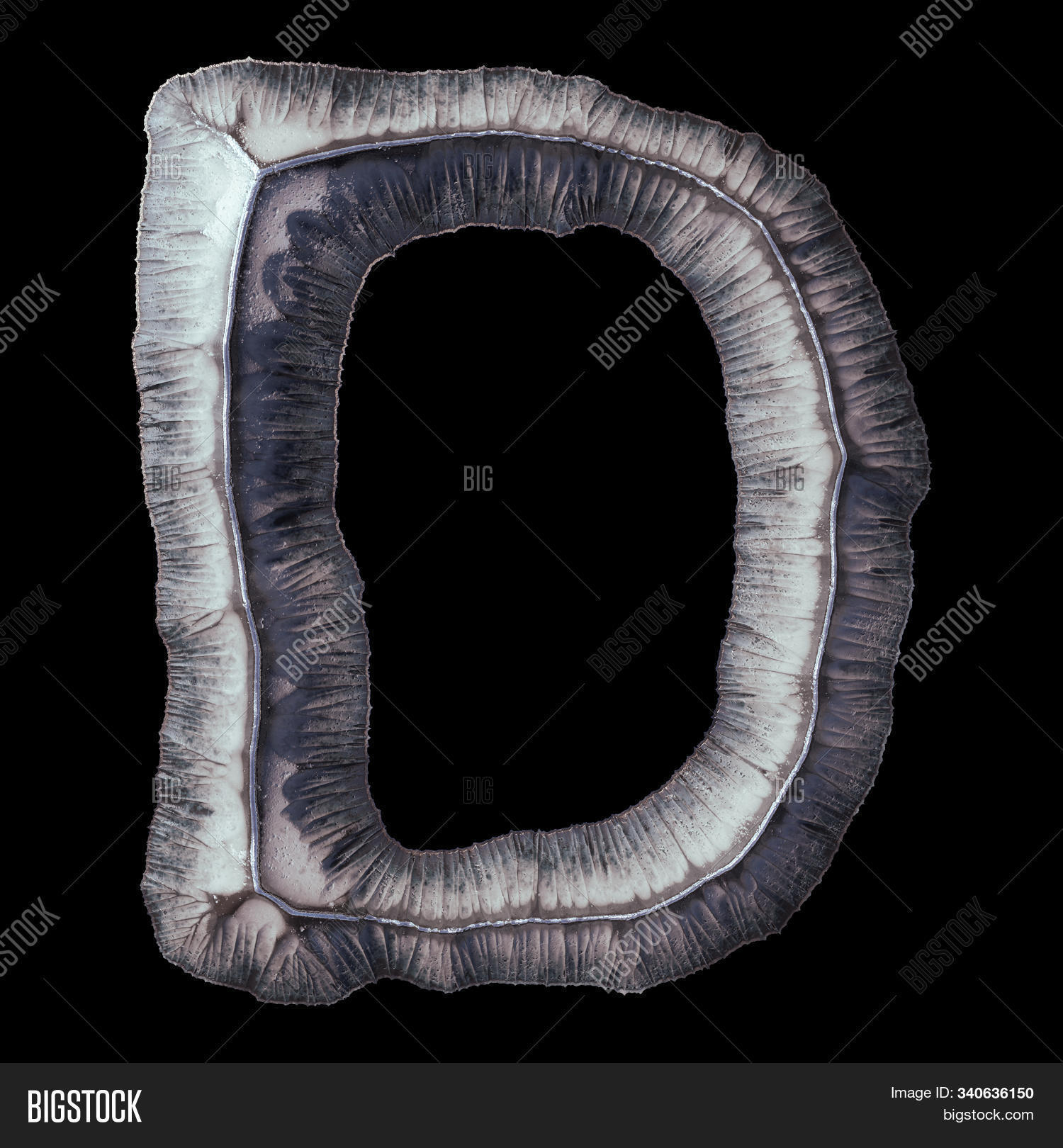 Capital Letter D Made Image & Photo (Free Trial) | Bigstock