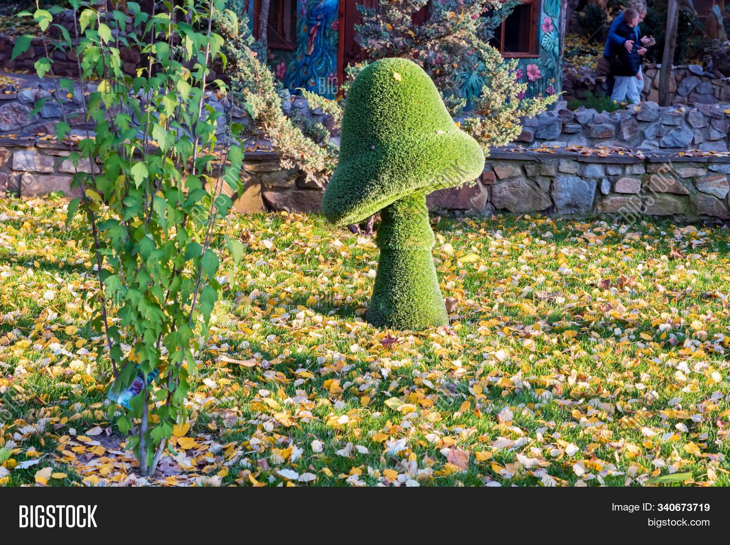 Green Mushroom Topiary Image & Photo (Free Trial) | Bigstock