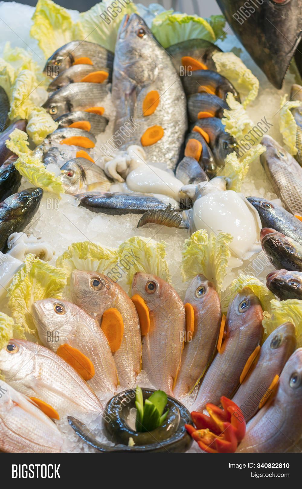 Fresh Sea Fish Ice Image & Photo (Free Trial) | Bigstock