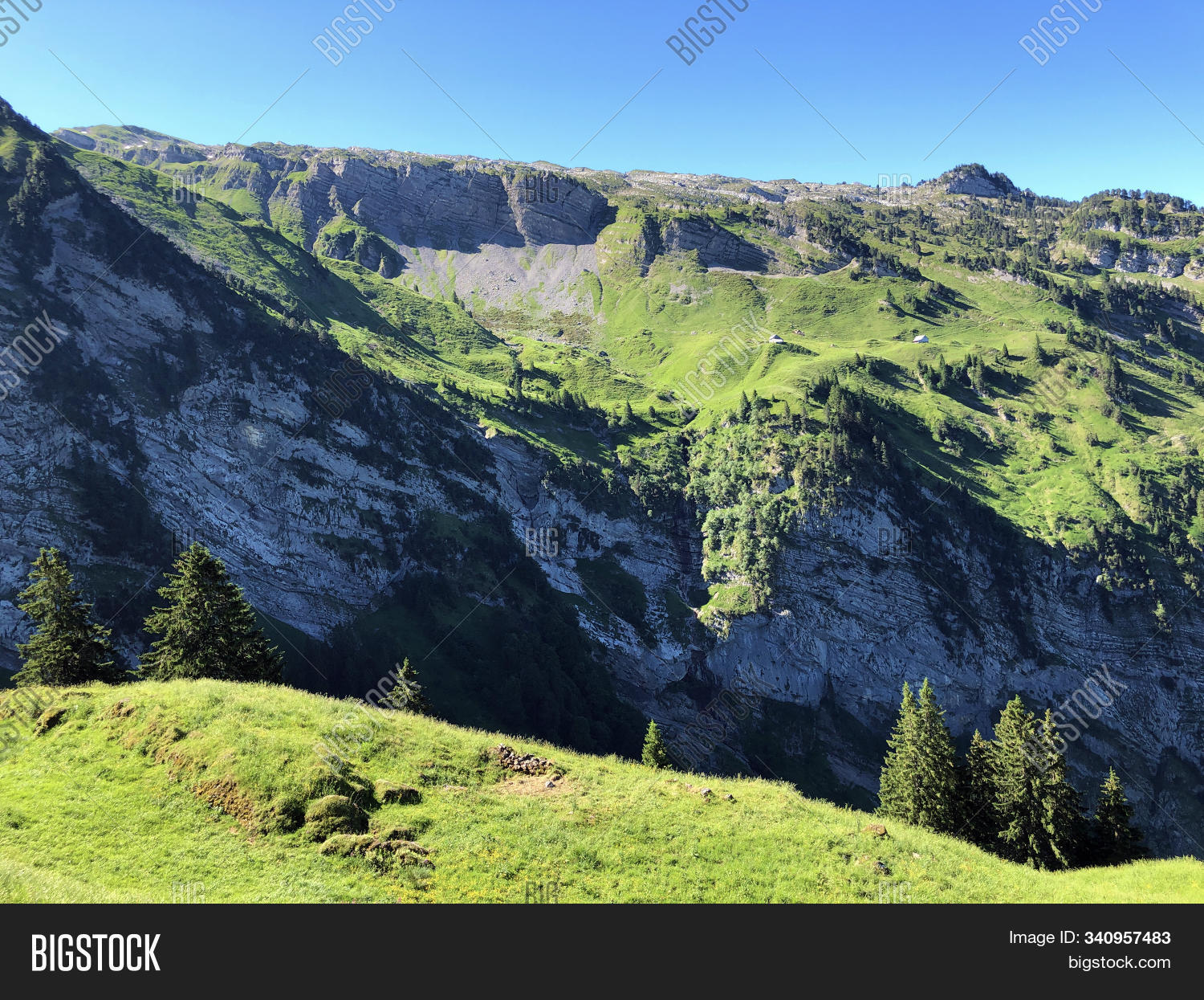 Alpine Pastures Image & Photo (Free Trial) | Bigstock