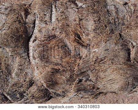 Stone Texture Red Sea Image & Photo (Free Trial) | Bigstock
