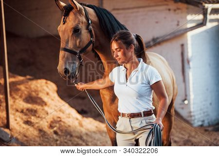 Getting Ready Ride. Image & Photo (Free Trial) | Bigstock