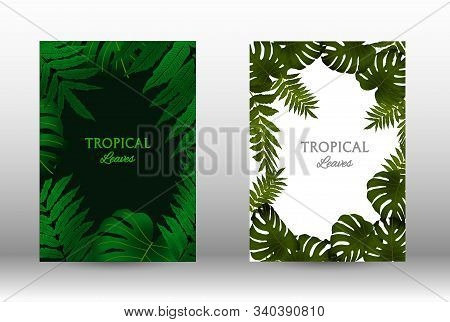 Tropic Covers Set. Vector & Photo (Free Trial) | Bigstock