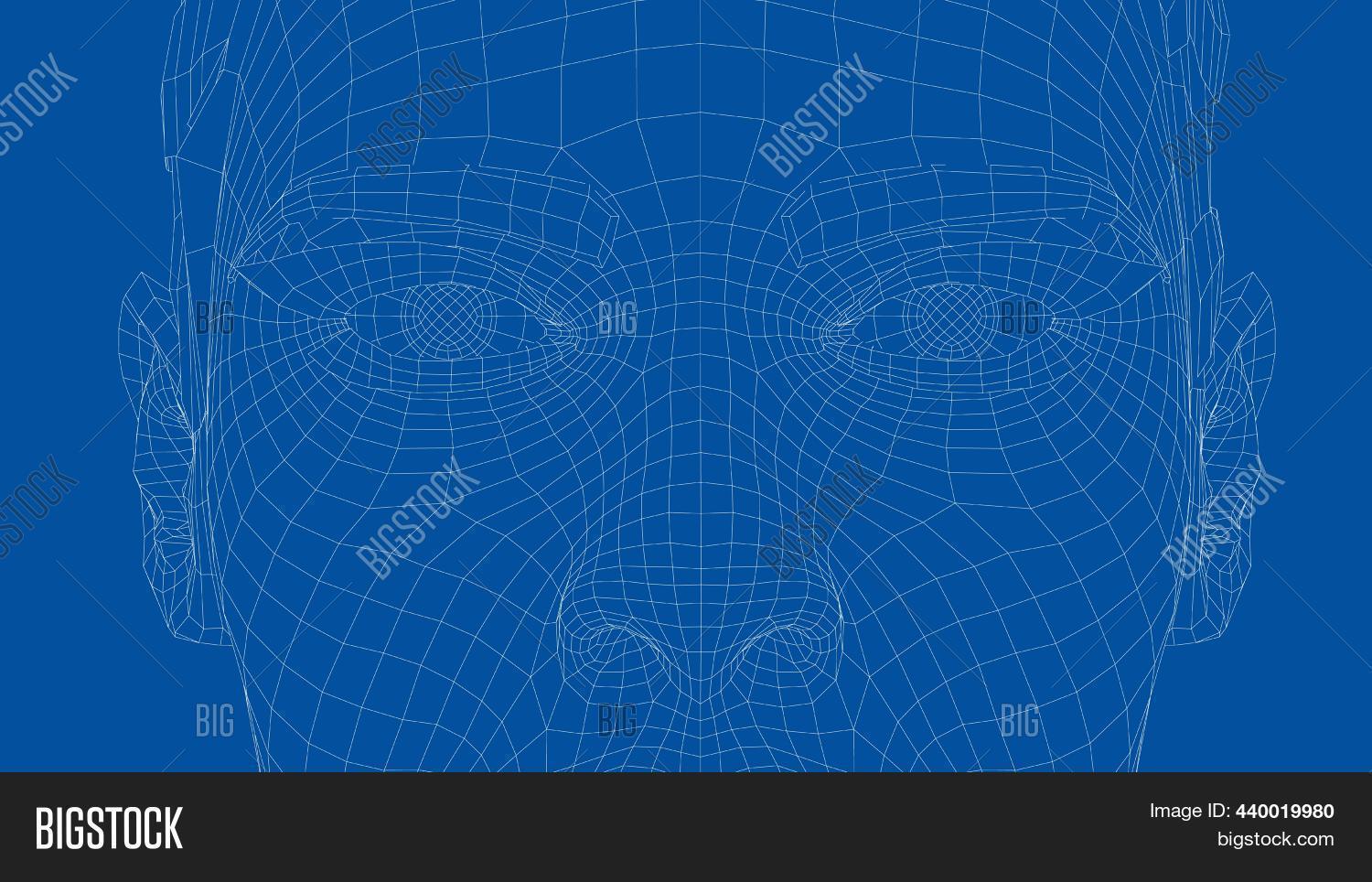 Wireframe Portrait Image & Photo (Free Trial) | Bigstock