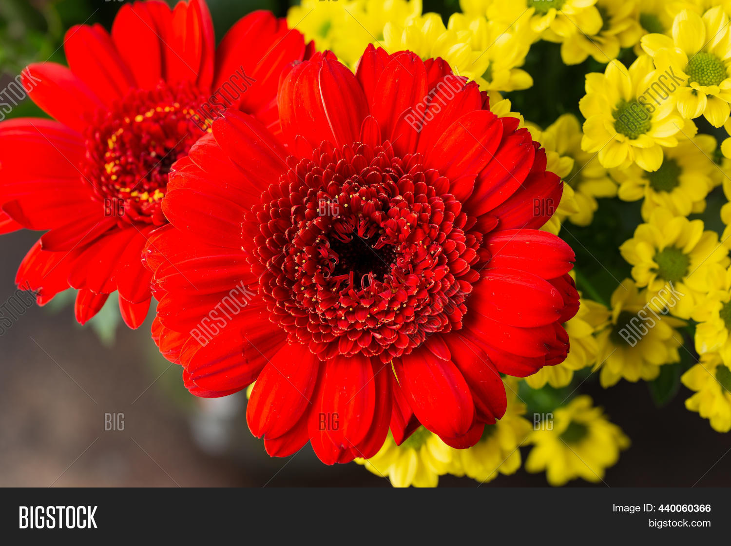 Fresh Colorful Autumn Image & Photo (Free Trial) | Bigstock