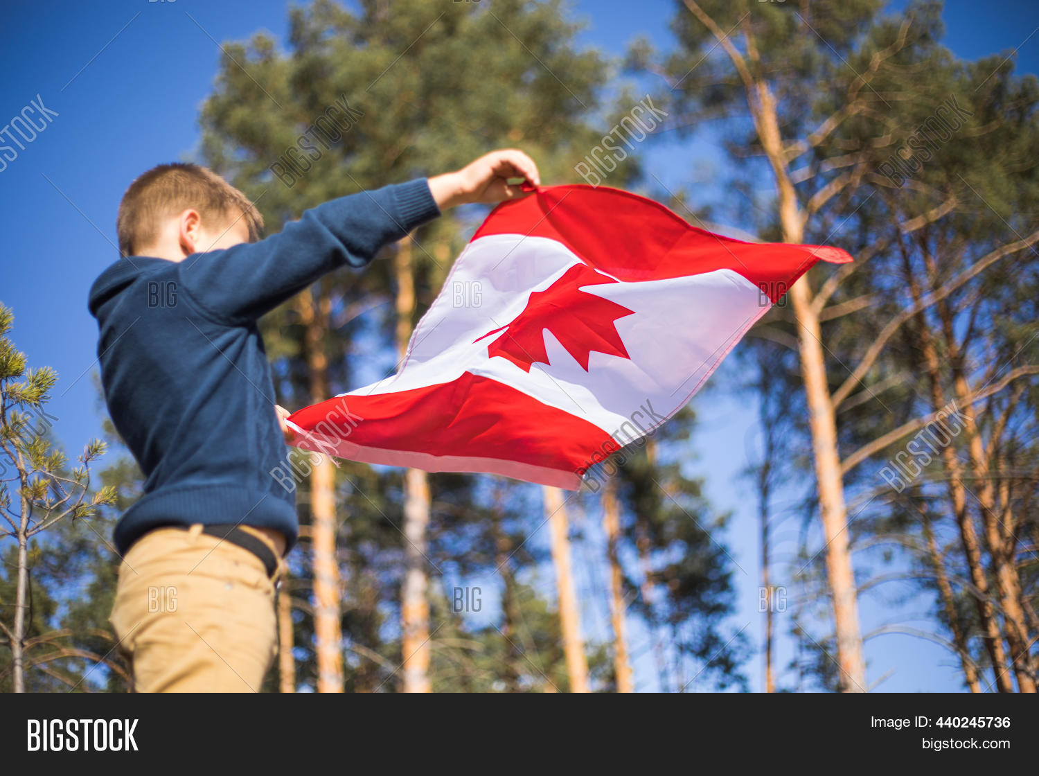 Kid Boy Holding Canada Image & Photo (Free Trial) | Bigstock
