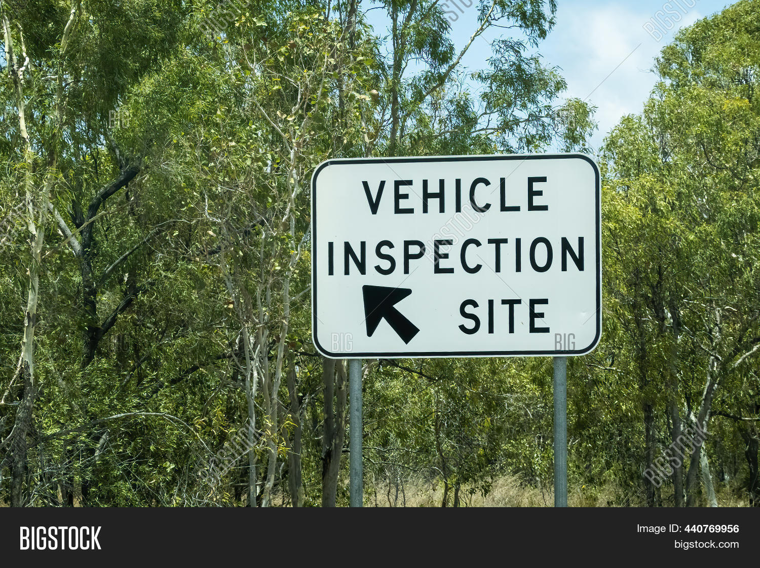 Vehicle Inspection Image & Photo (Free Trial) | Bigstock