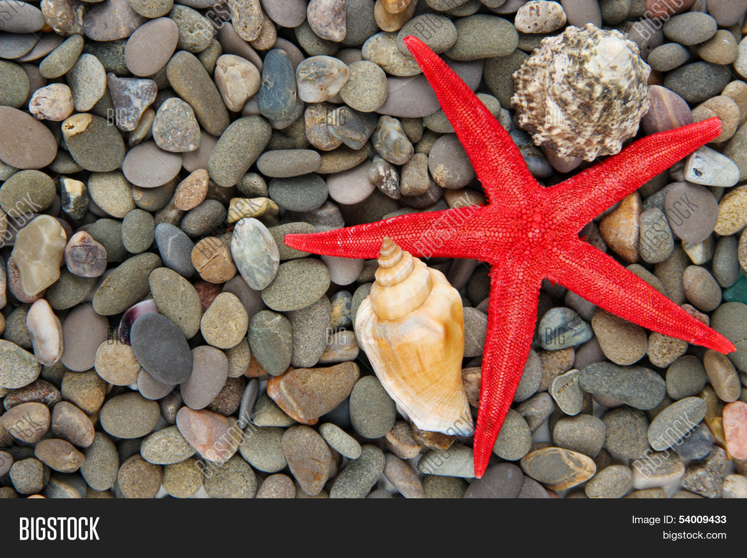Small Sea Stones Image & Photo (Free Trial) | Bigstock