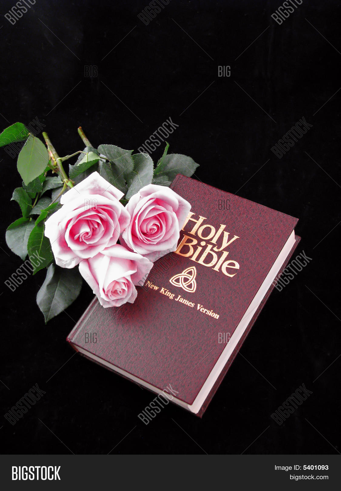Bible Roses Image & Photo (Free Trial) | Bigstock