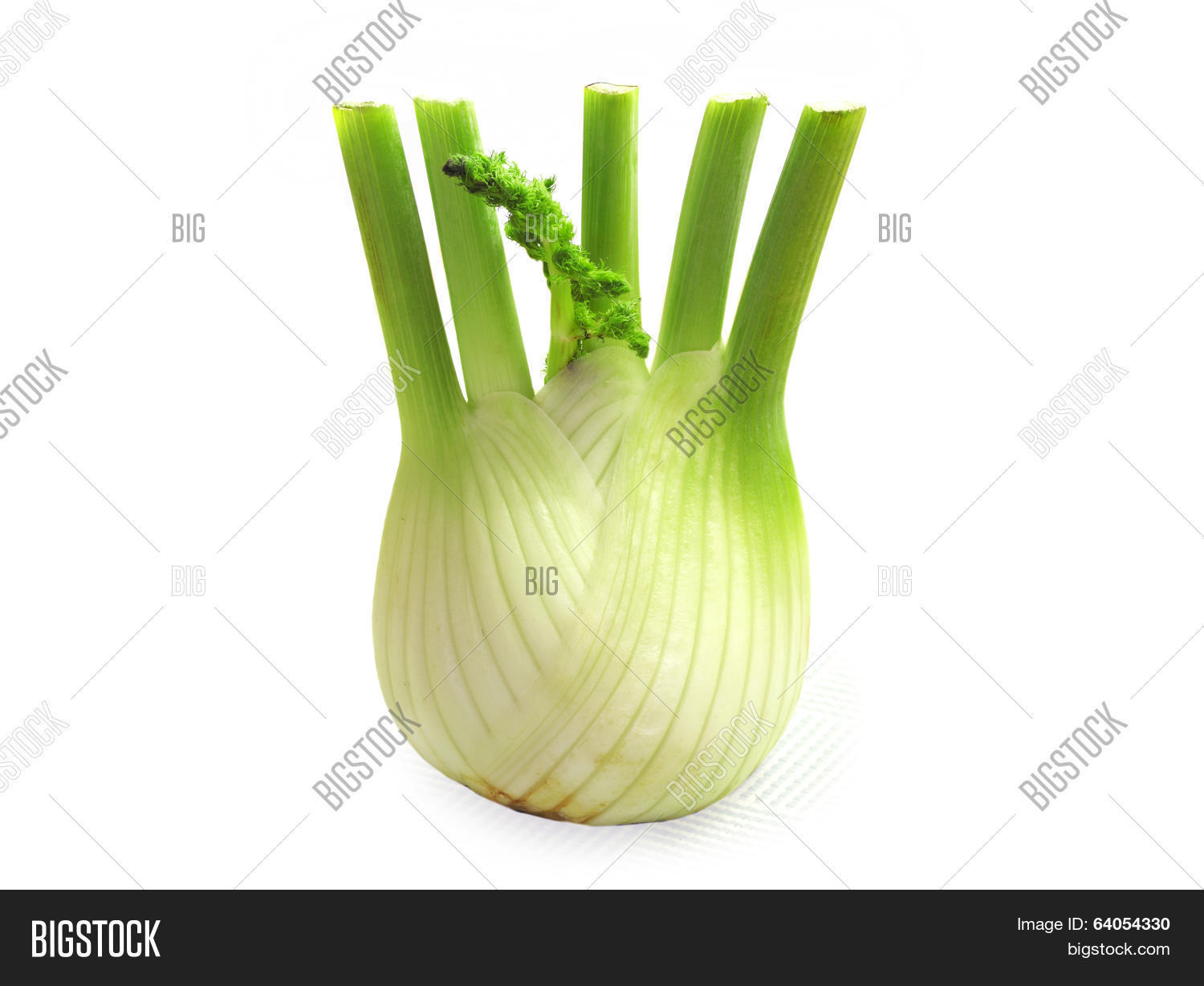 Food Ingredient Fennel Image & Photo (Free Trial) | Bigstock