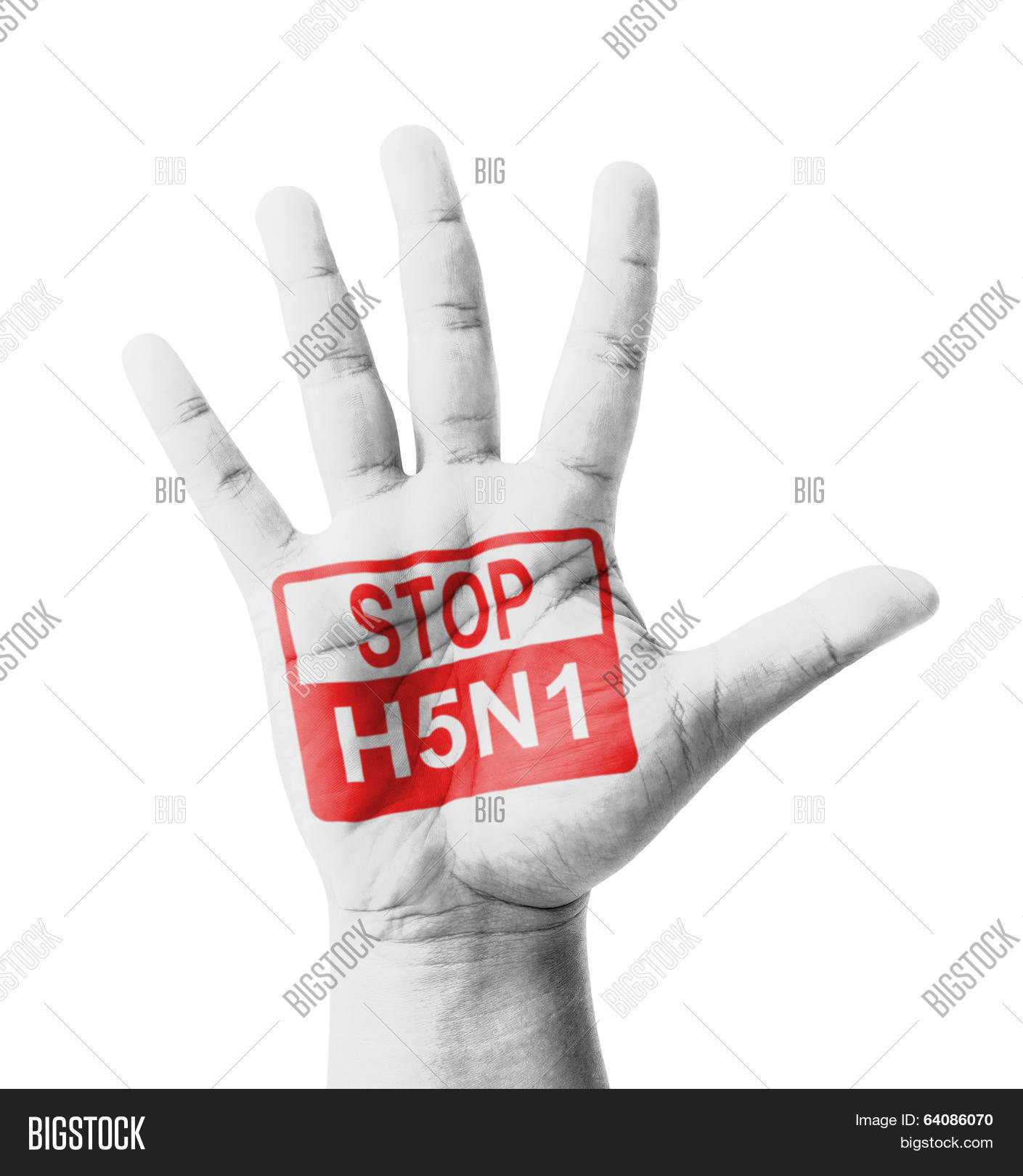 Open Hand Raised, Stop Image & Photo (Free Trial) | Bigstock