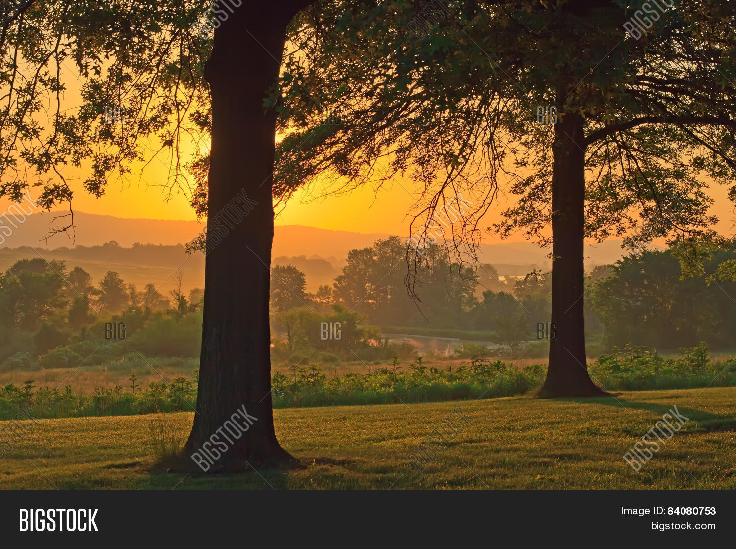 Foggy Sunrise Image & Photo (Free Trial) | Bigstock