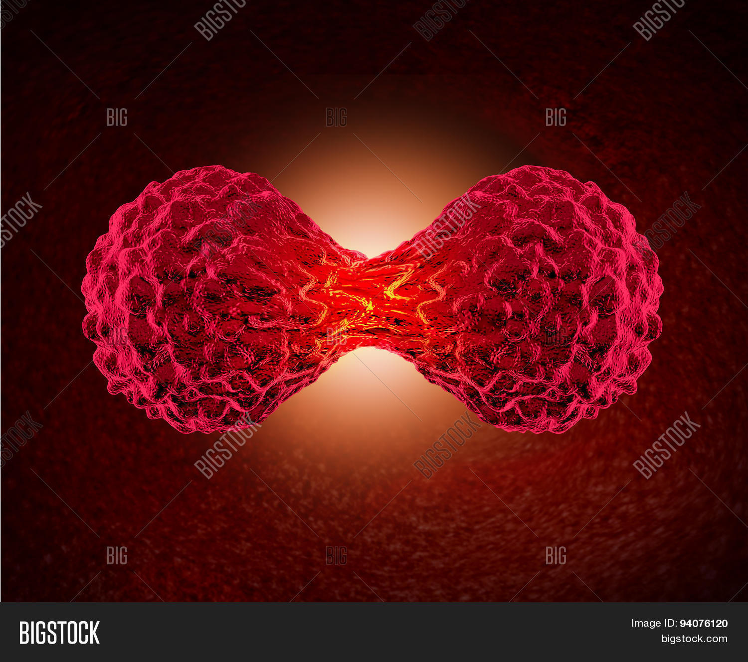 Cancer Cell Dividing Image & Photo (Free Trial) | Bigstock