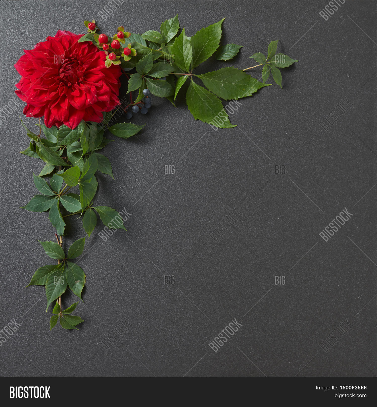 Flower Border Design Image & Photo (Free Trial) | Bigstock
