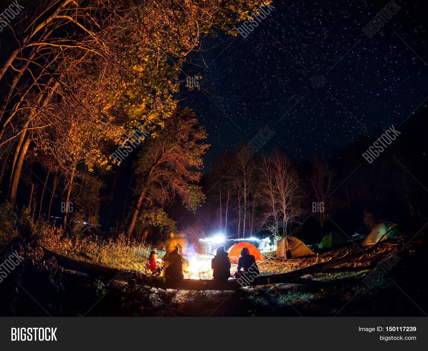 Camp Forest Bonfire Image & Photo (Free Trial) | Bigstock