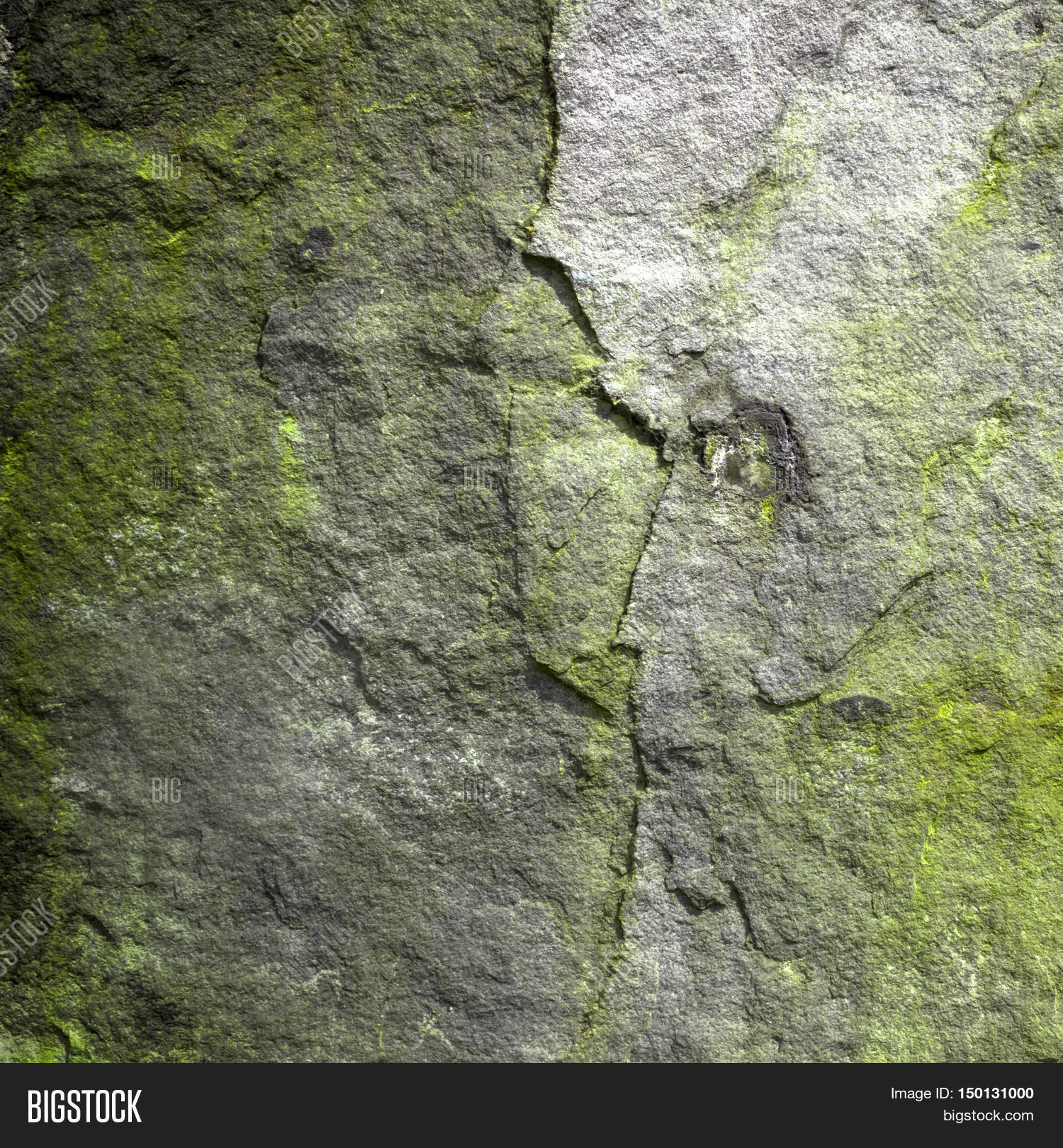 Side View Alien Skull Image & Photo (Free Trial) | Bigstock