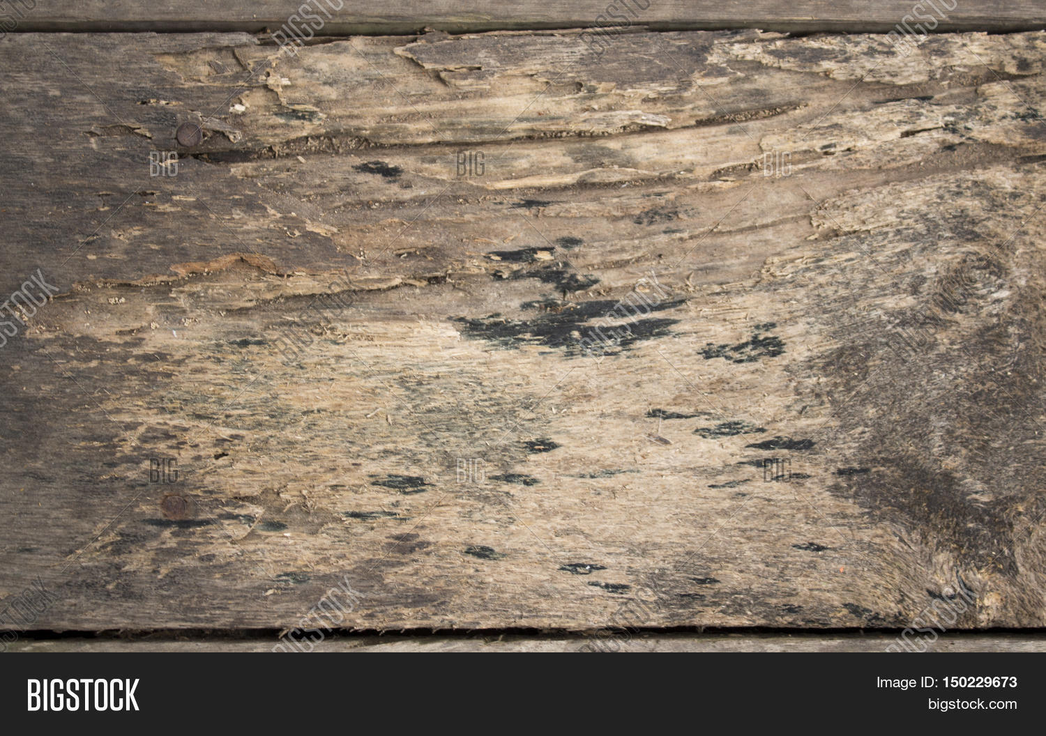 Texture Wood Damage Image & Photo (Free Trial) | Bigstock