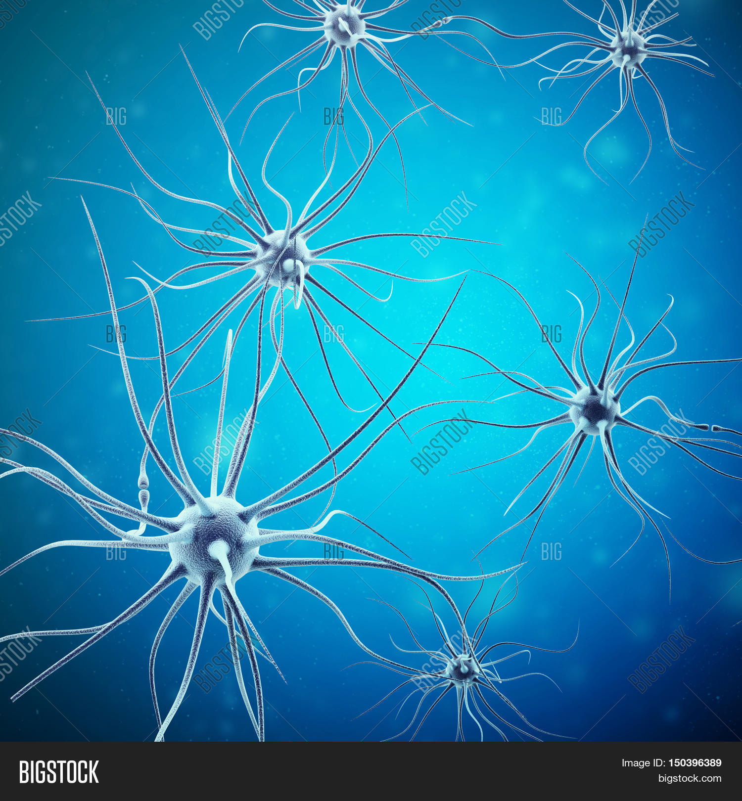 Neurons Transmission Image & Photo (Free Trial) | Bigstock
