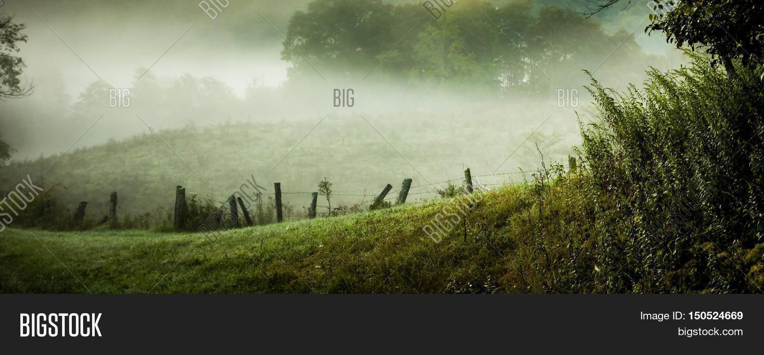 Fog Rolling Through Image & Photo (Free Trial) | Bigstock
