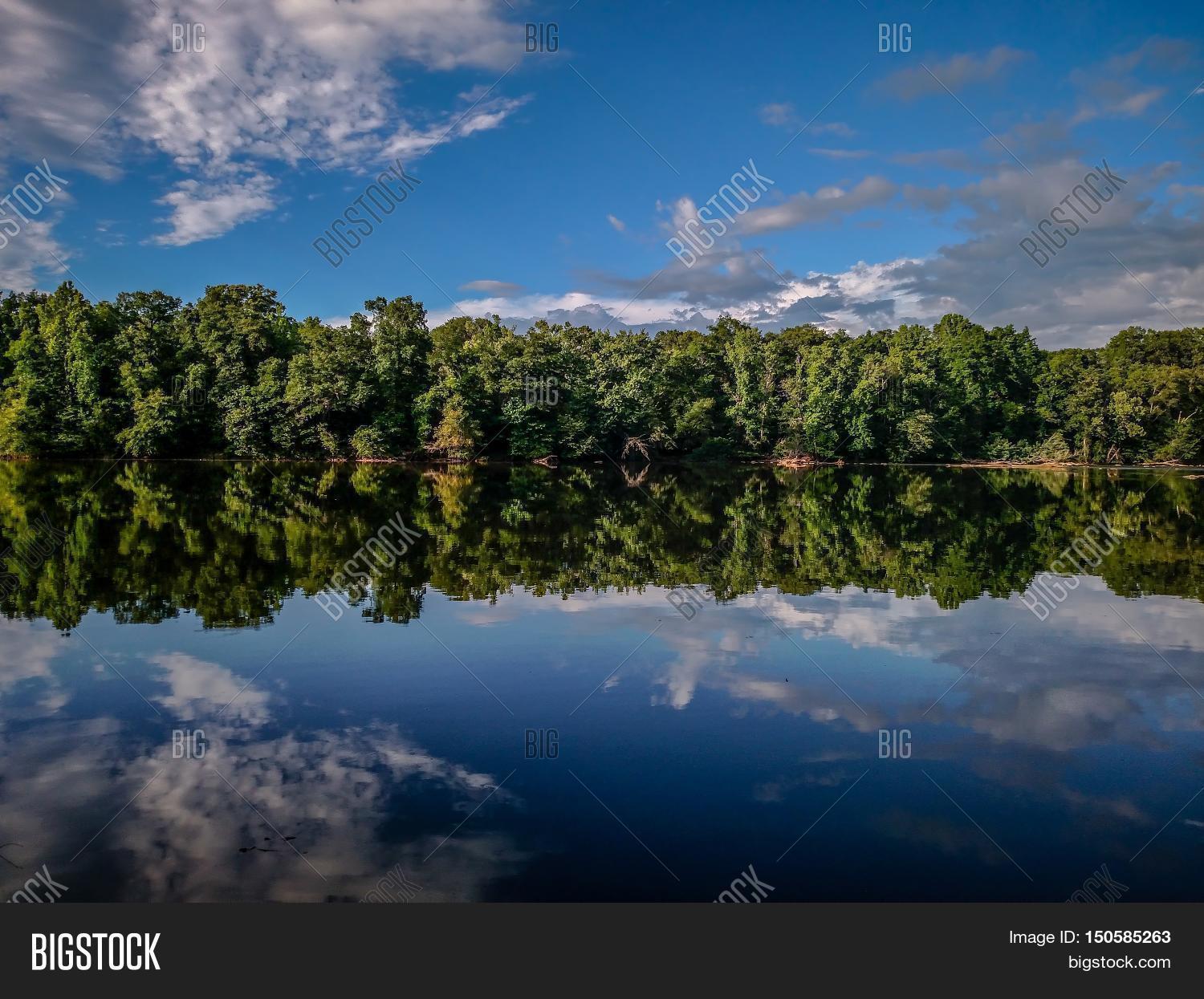 Forest Treeline Image & Photo (Free Trial) | Bigstock