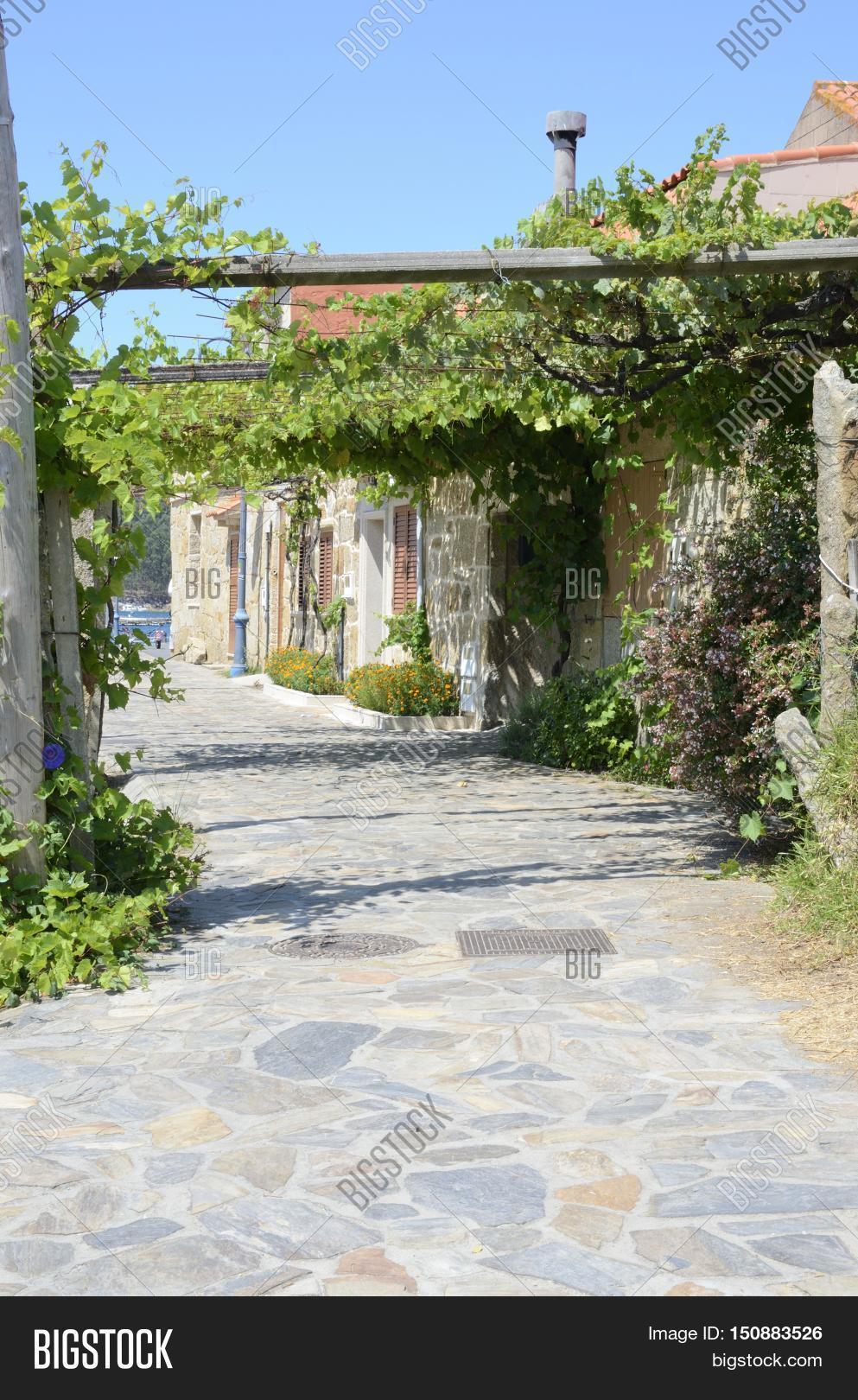 Pathway Gallery Made Image & Photo (Free Trial) | Bigstock