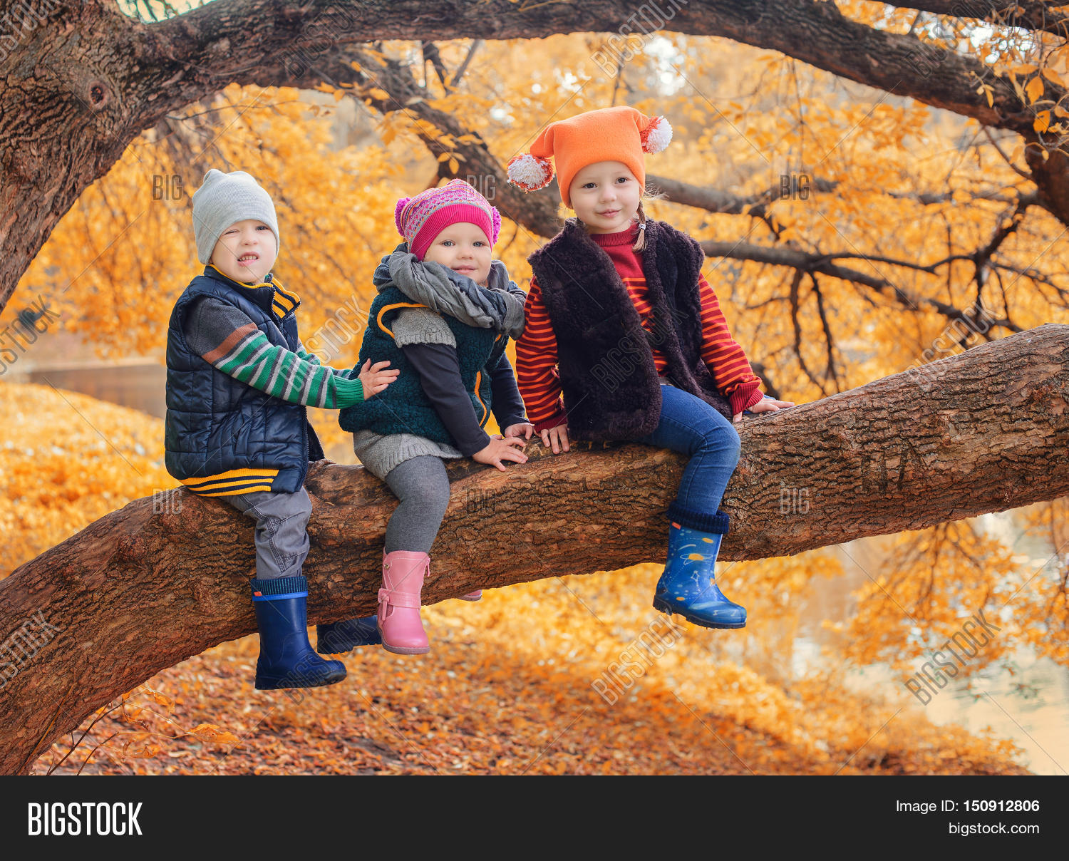 Kids Sitting On Trees Image & Photo (Free Trial) | Bigstock