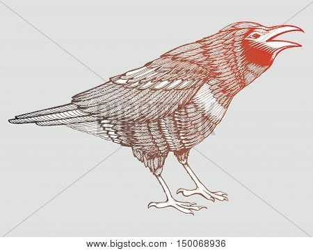 Stylized Crows. Vector & Photo (Free Trial) | Bigstock