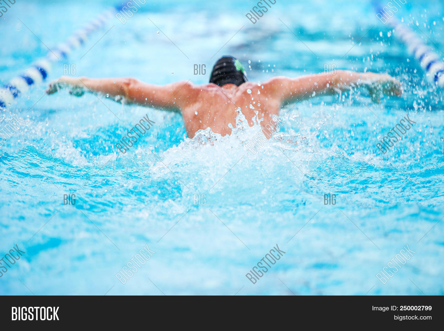 Man Swimming Butterfly Image & Photo (Free Trial) | Bigstock